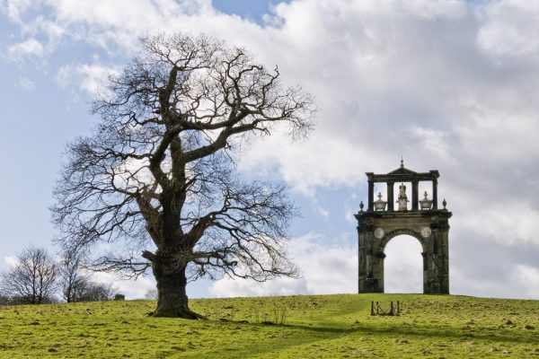 Enjoying Cannock Chase - Cannock Chase