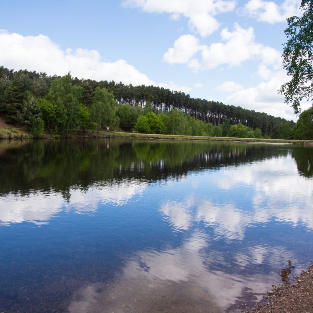 Welcome to Cannock Chase - Cannock Chase
