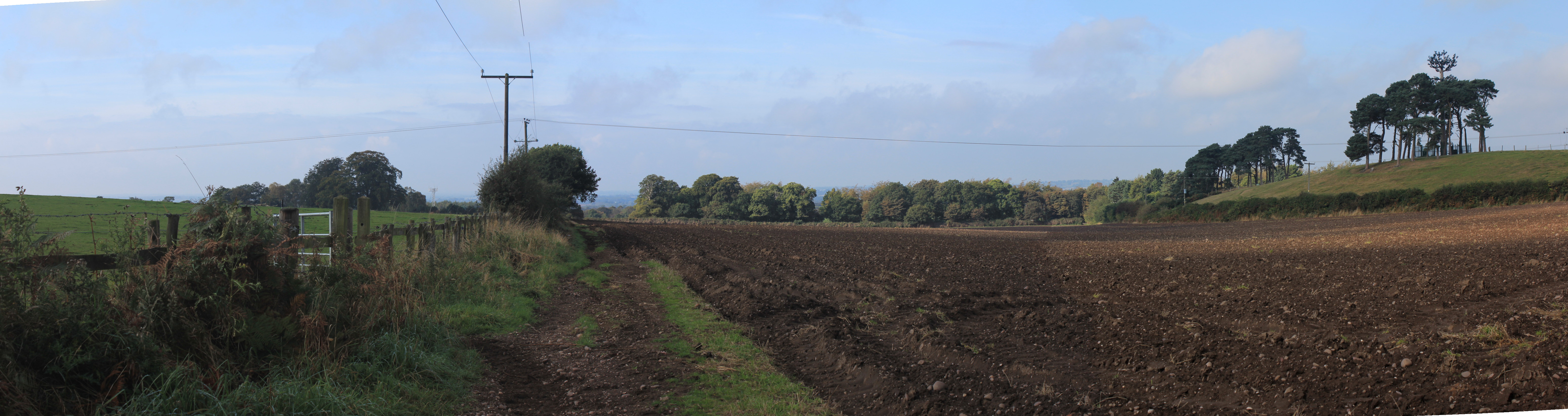 Fixed point photography project Archives - Cannock Chase