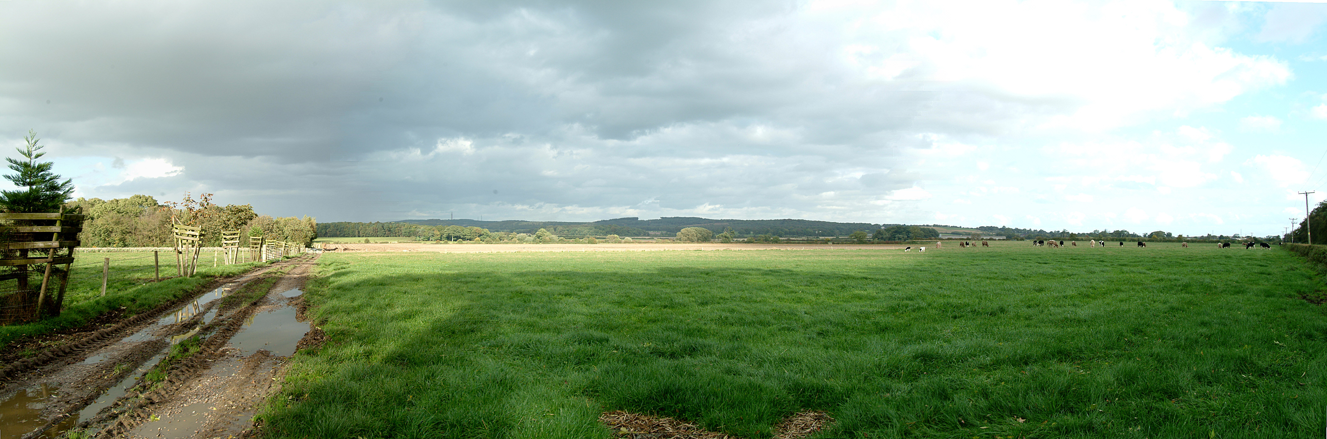 Fixed point photography project Archives - Cannock Chase