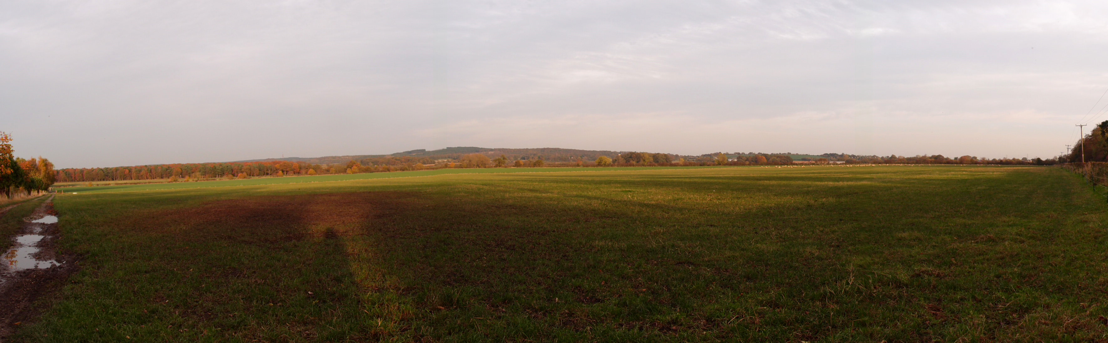 Fixed point photography project Archives - Cannock Chase