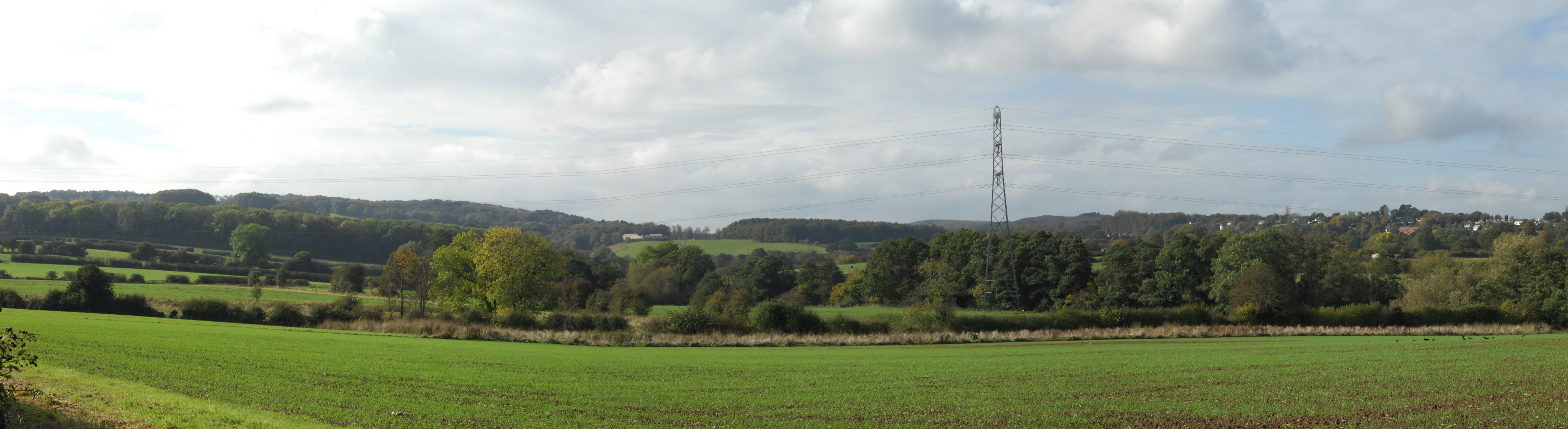 Fixed point photography project Archives - Cannock Chase