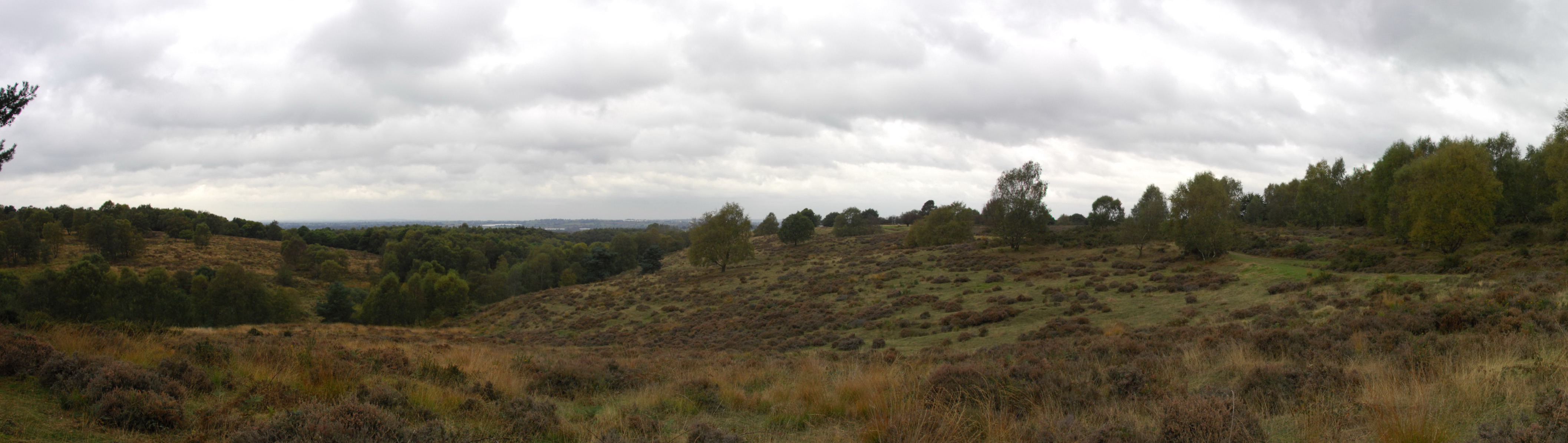 Fixed point photography project Archives - Cannock Chase