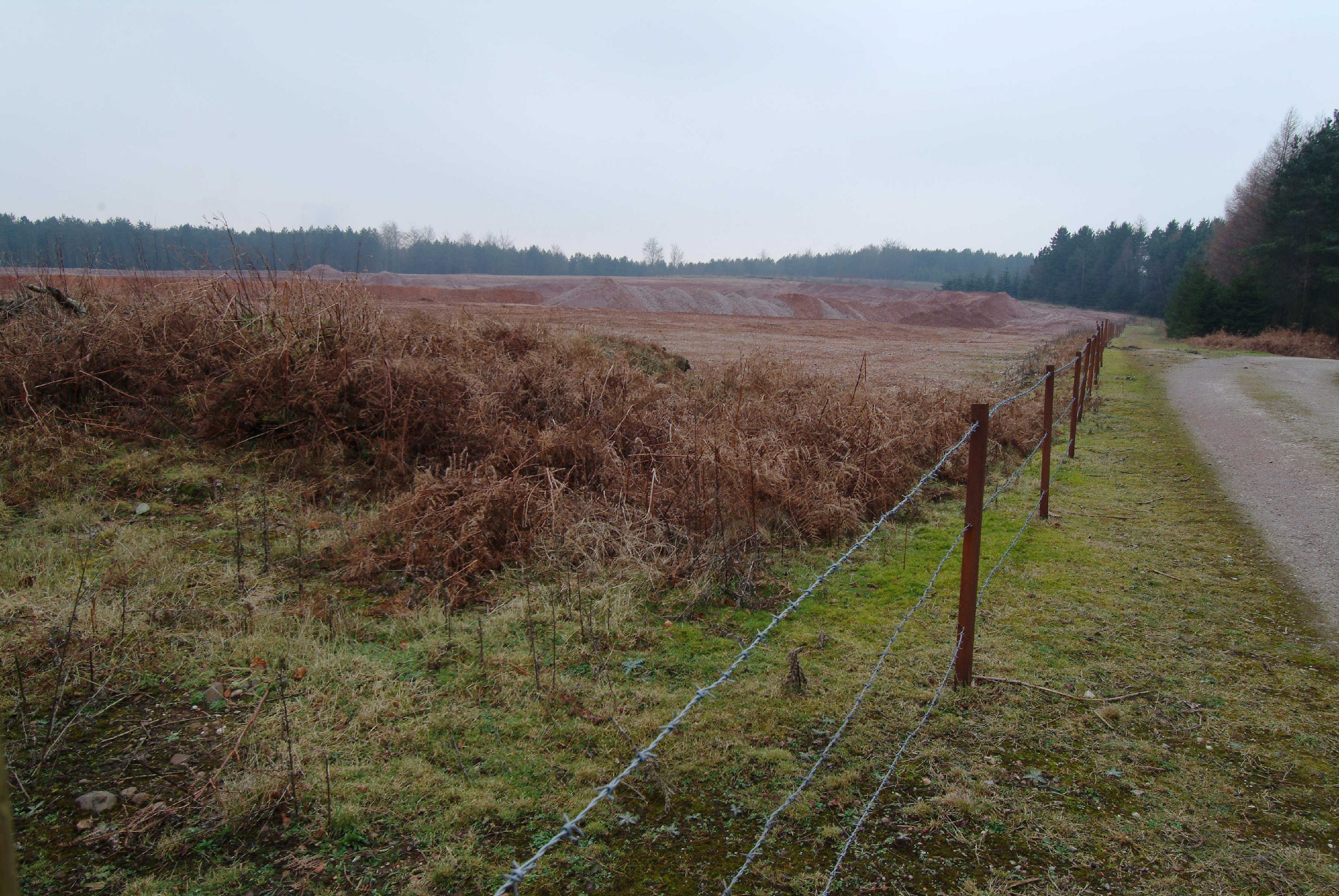 Fixed point photography project Archives - Cannock Chase