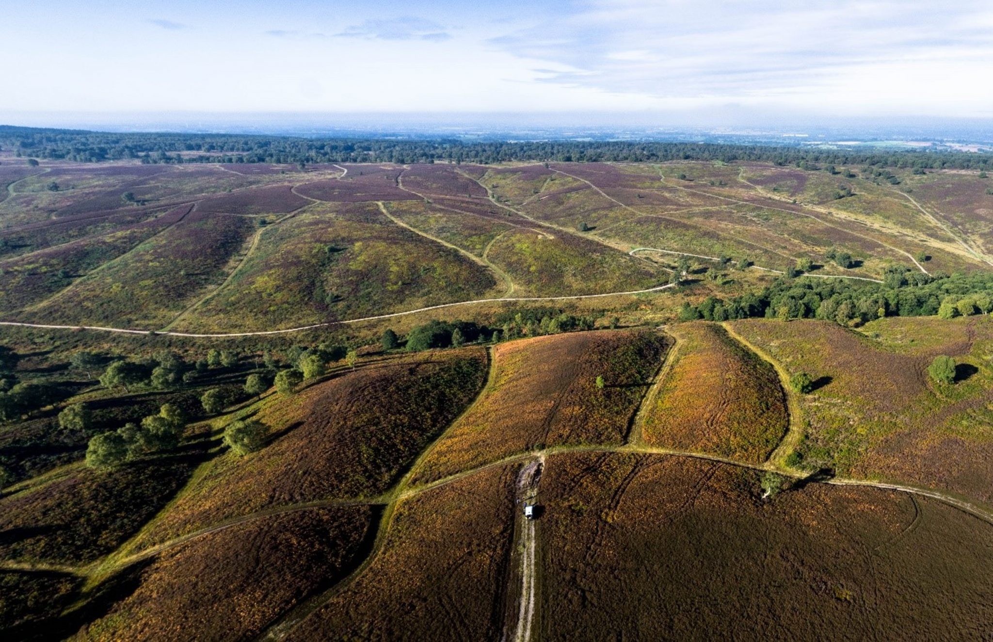 A Special Area of Conservation - Cannock Chase