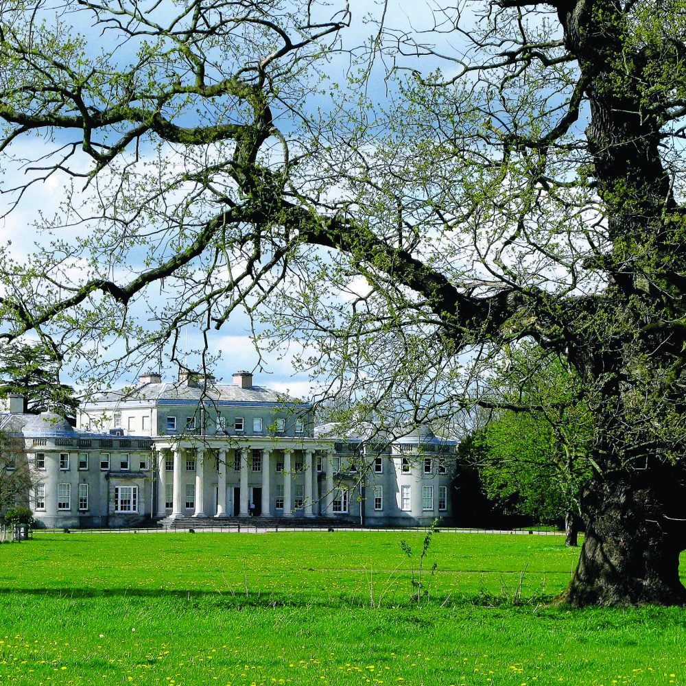 Welcome to Cannock Chase - Cannock Chase