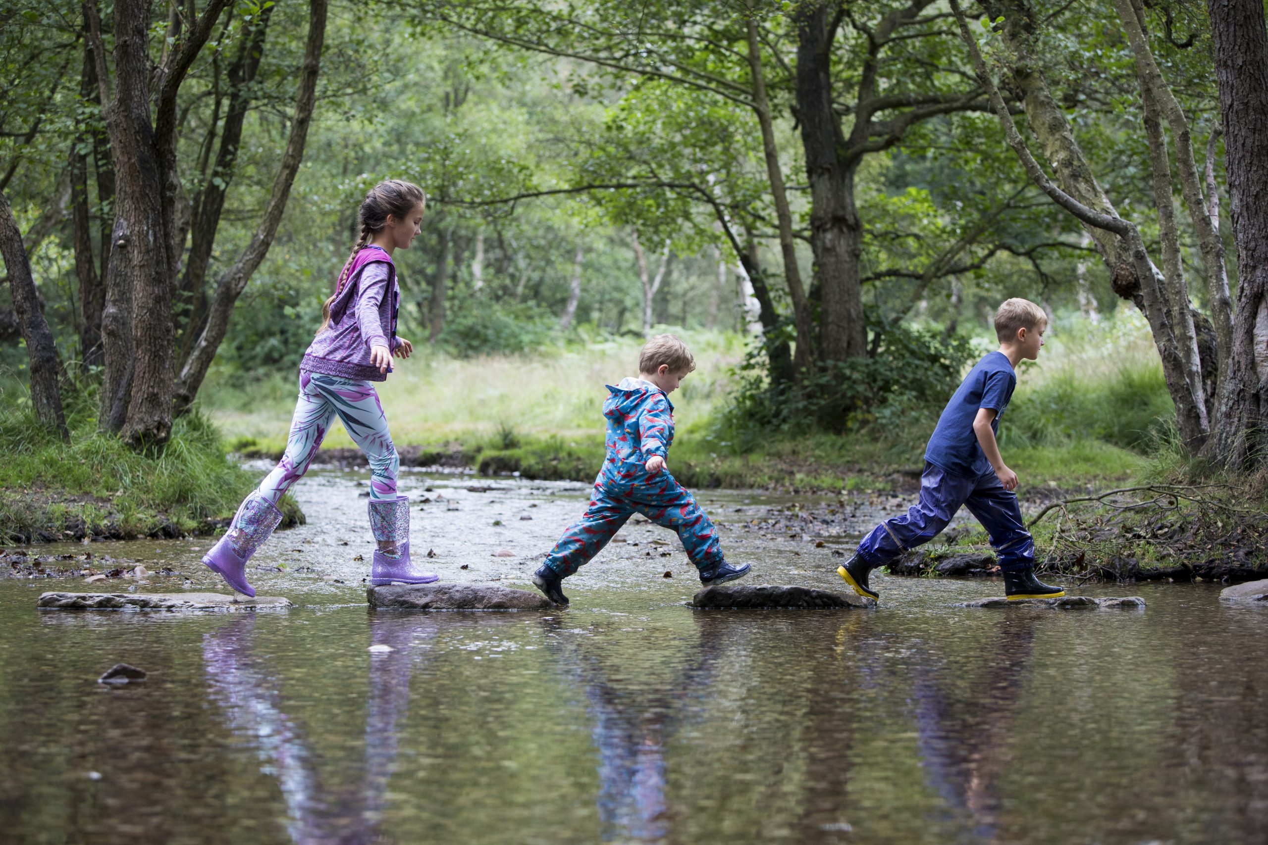 Exploring - Cannock Chase