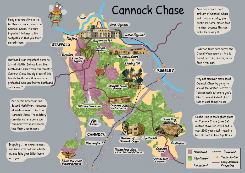 Future Guardians of Cannock Chase - Cannock Chase