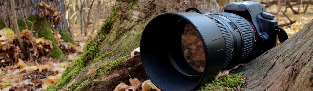 Fixed point photography project - Cannock Chase